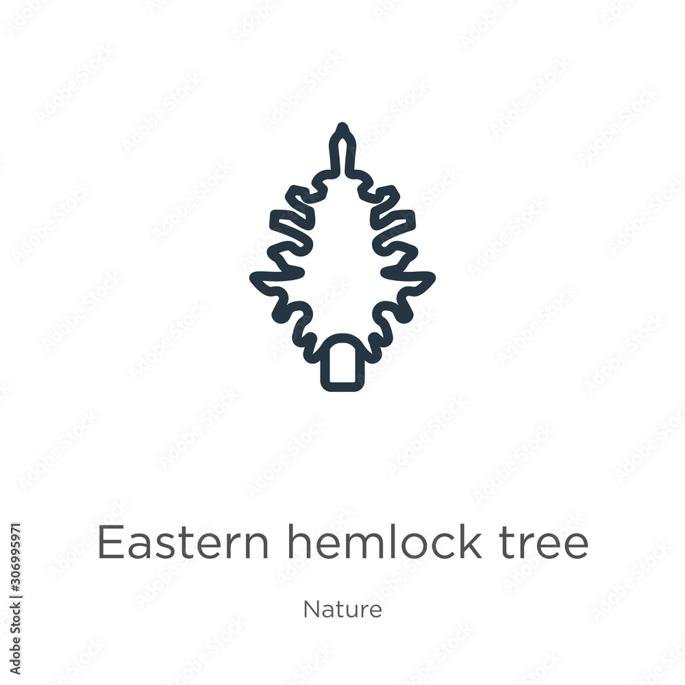 Vecteur Stock Eastern hemlock tree icon. Thin linear eastern hemlock ...