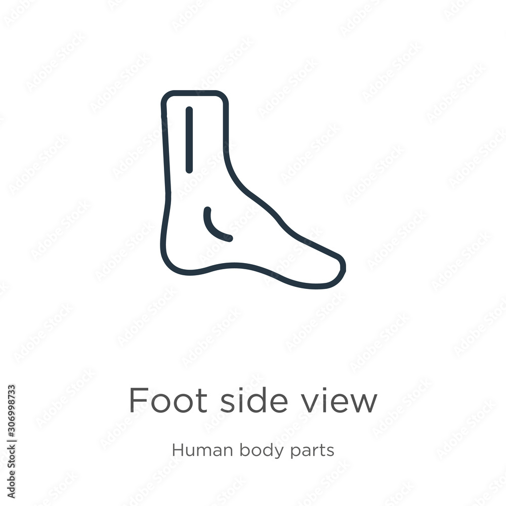 Foot side view icon. Thin linear foot side view outline icon isolated ...