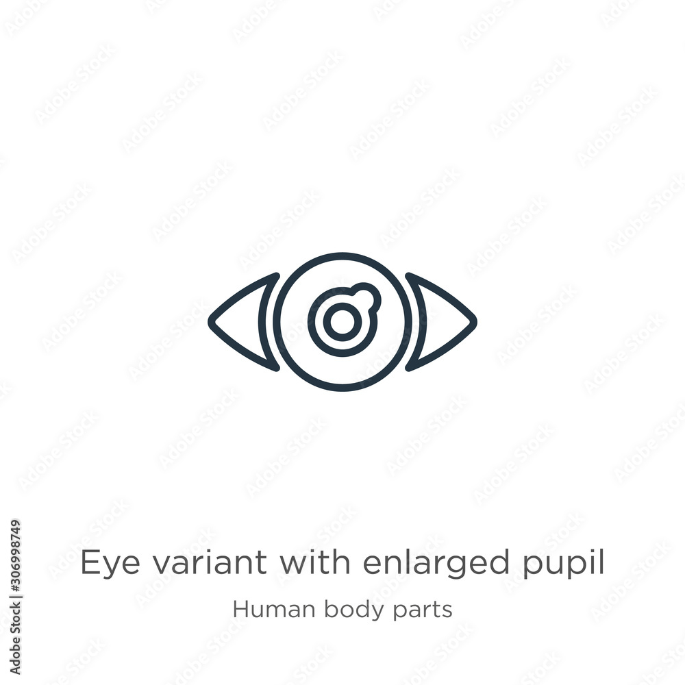 Eye variant with enlarged pupil icon. Thin linear eye variant with ...