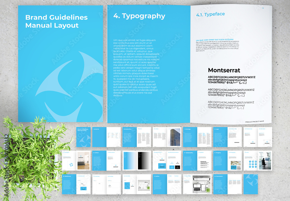 Brand Guidelines Manual Layout with Blue Accents Stock Template | Adobe Stock