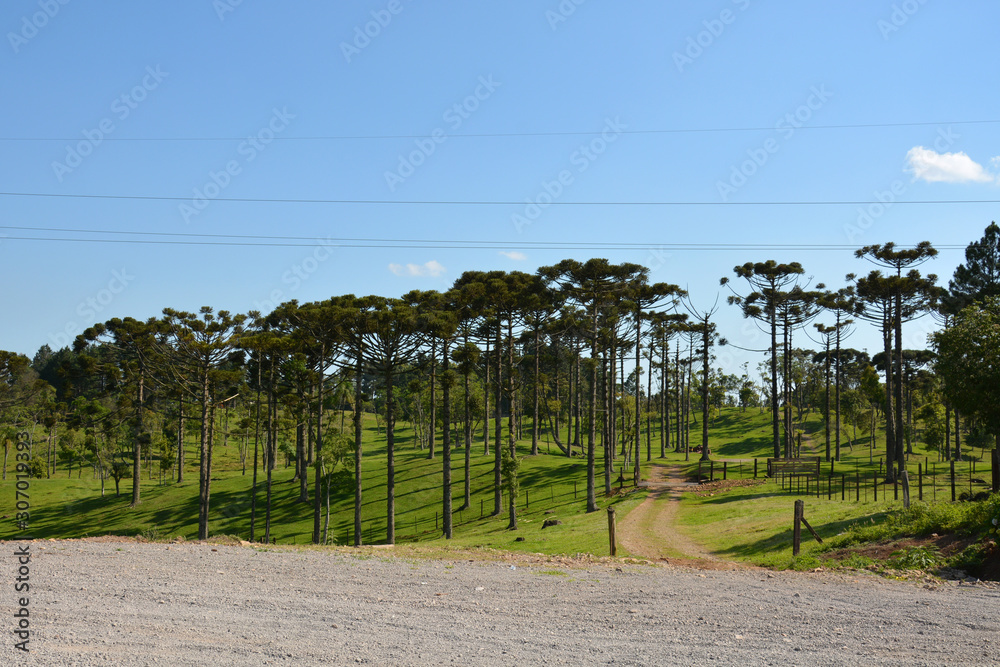 Serra Park, Located in the city of Gramado , in the middle of a ...