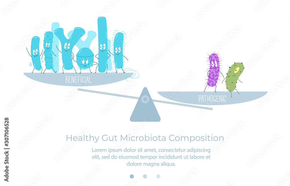 Microbial balance in the intestinal microbiota. Vector illustration ...