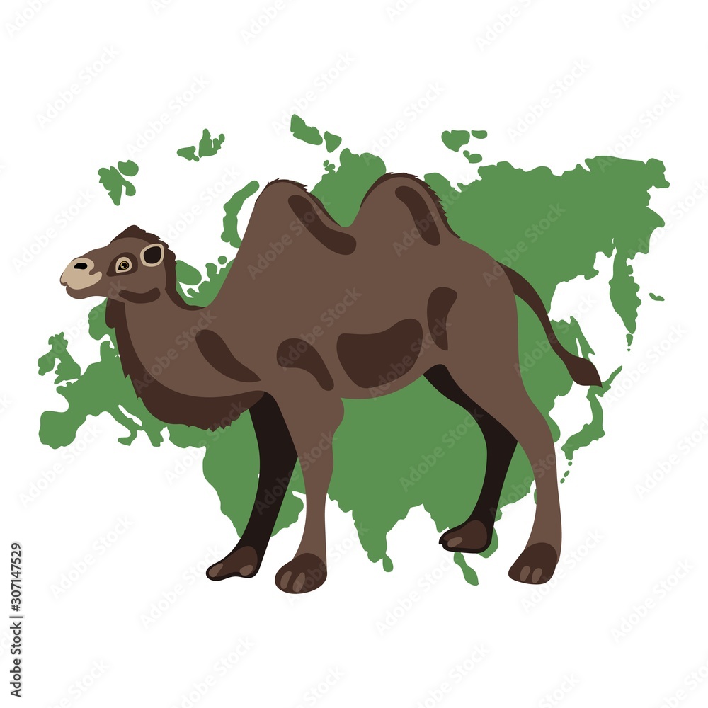Camel Map