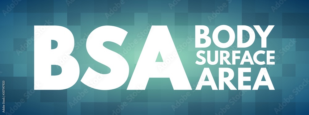 BSA - Body Surface Area acronym, medical concept background Stock ...