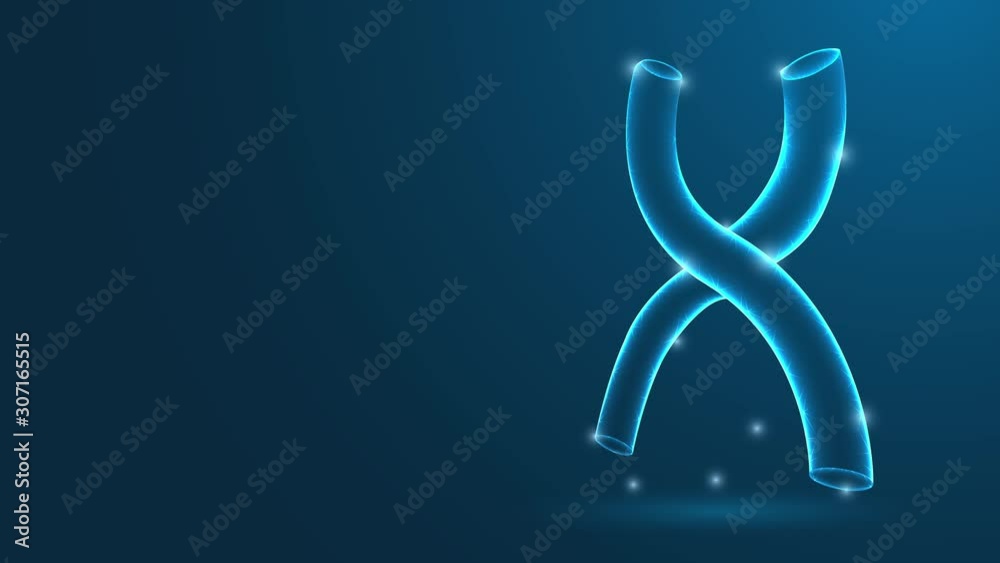 Human Chromosome. X-shaped structure. low poly wire frame theme concept ...