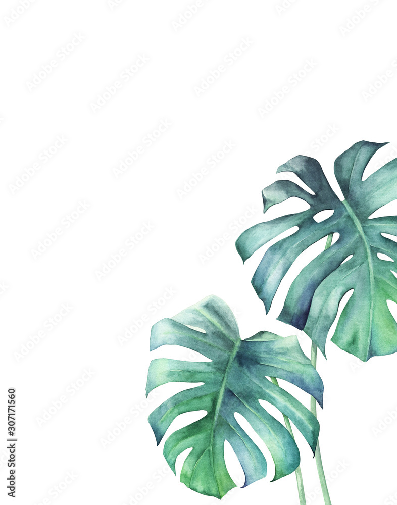 Jungle summer print. Watercolor tropical border with palm leaves on ...