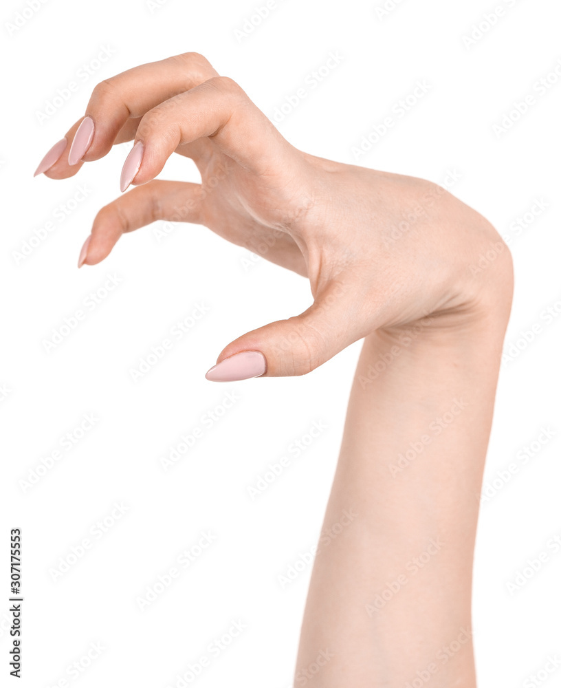 Female caucasian hands isolated white background showing gesture shows ...