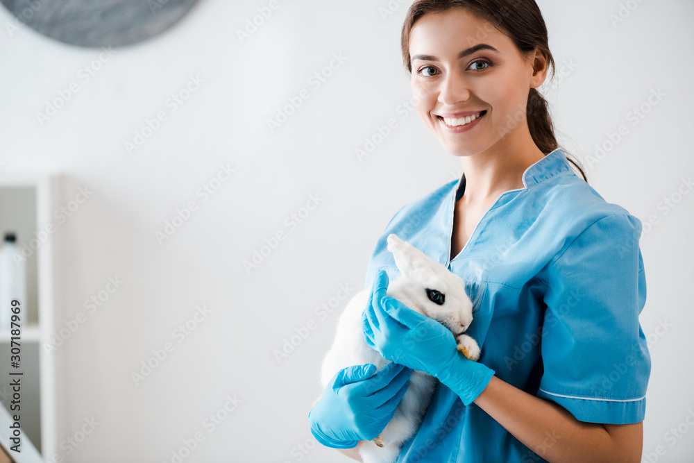 pretty, smiling veterinarian looking at camera while holding cute white ...