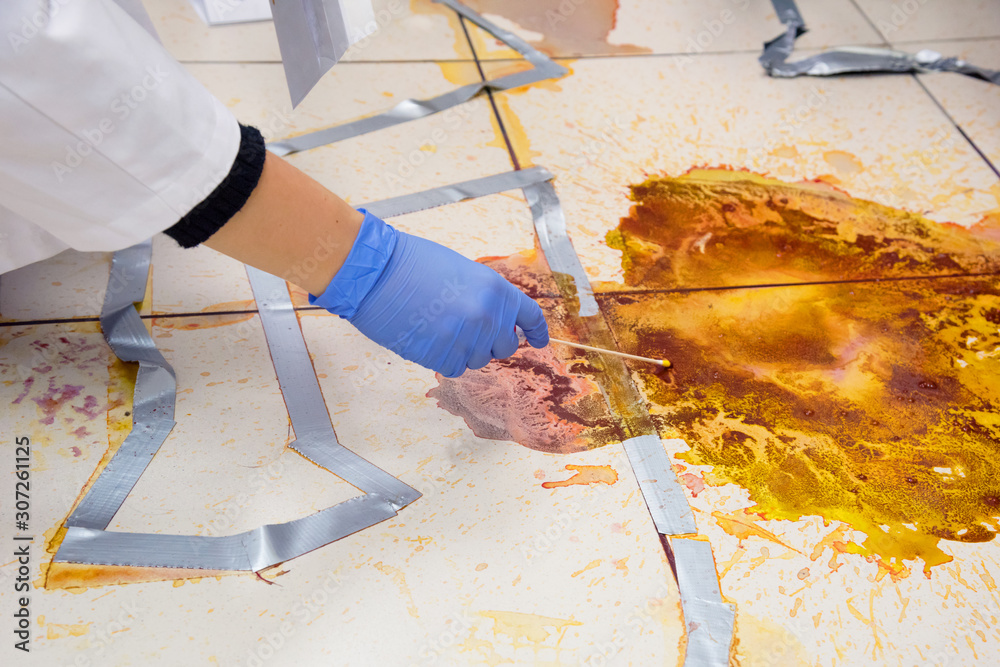 Forensic technicians taking DNA sample from blood stain with cotton ...