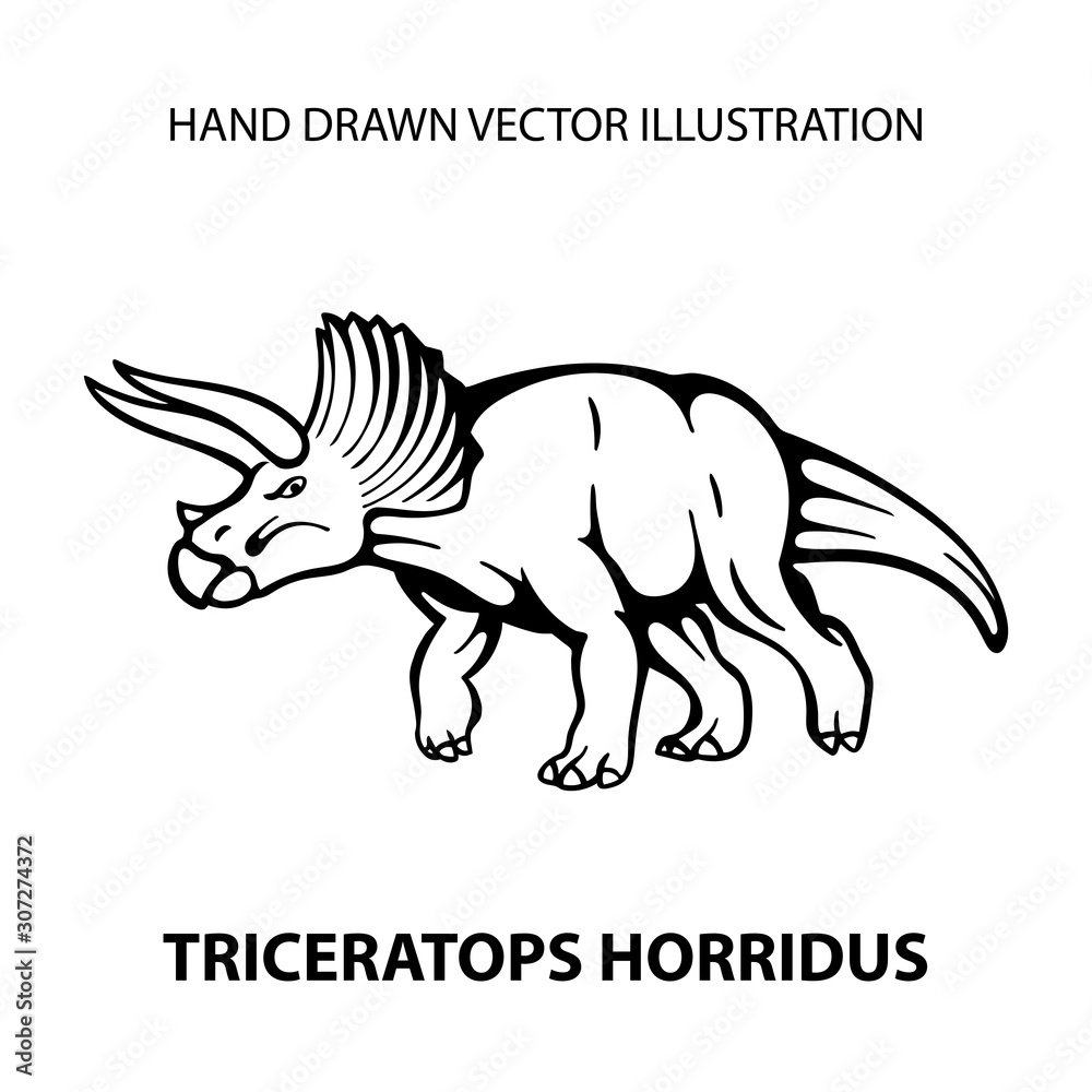 Dinosaur. Angry Triceratops Horridus. Hand-drawn dinosaur vector ...