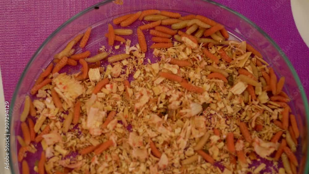 Lab table with petri dishes and worms and worm larvae as indicators of ...