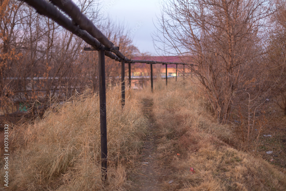 old heat pipes laid above the ground among trees, human influence on ...