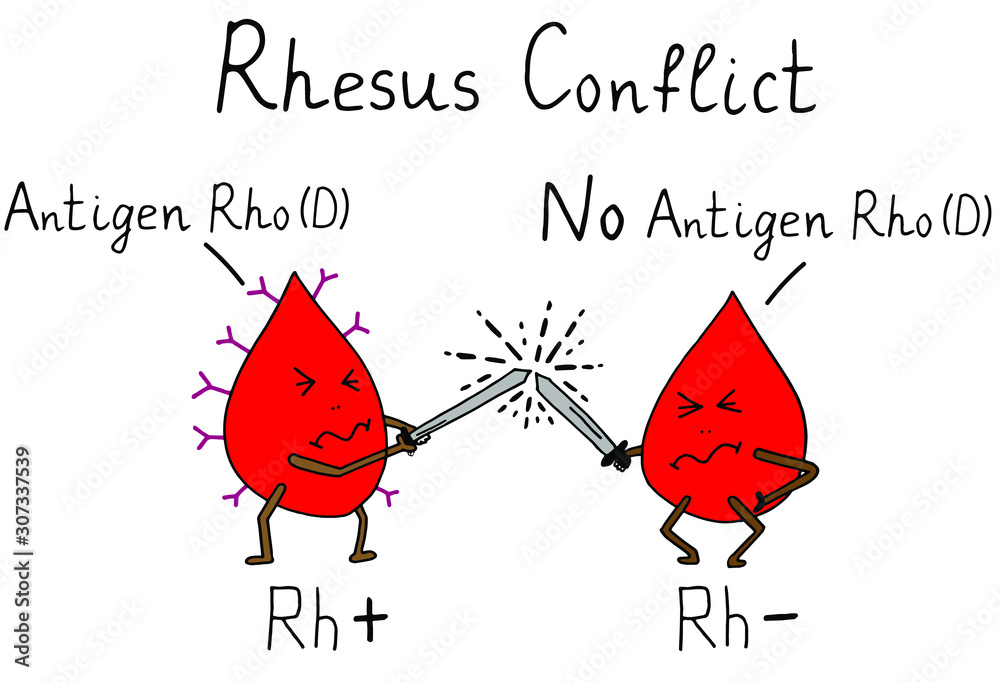 Colored Vector illustratin. Two drops of blood are fighting because of ...