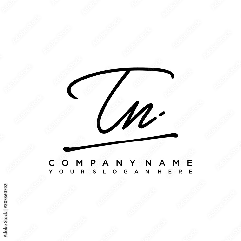 TN initials signature logo. Handwriting logo vector templates. Hand ...