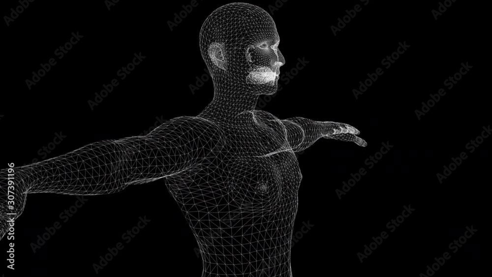 Anatomy of human physical body 3d, rotating man figure on isolated ...