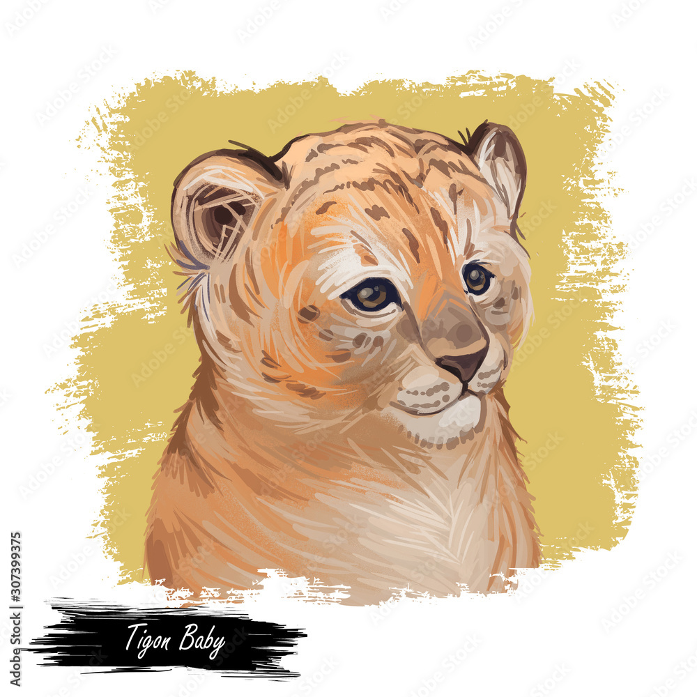 Tigon baby tabby animal watercolor portrait in closeup. Animalistic ...