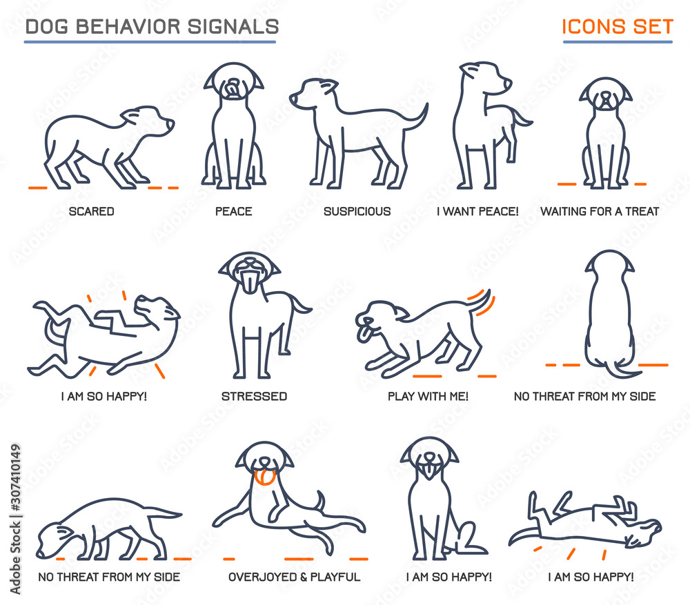 Dog Behavior Icons Stock Vector | Adobe Stock
