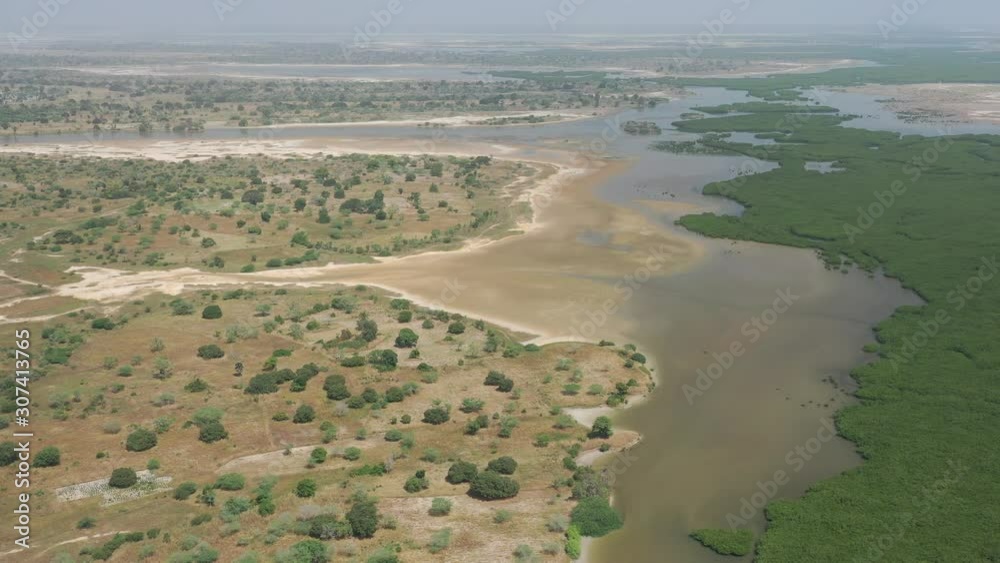 Senegal Mangroves. Aerial view of mangrove forest in the Saloum Delta ...