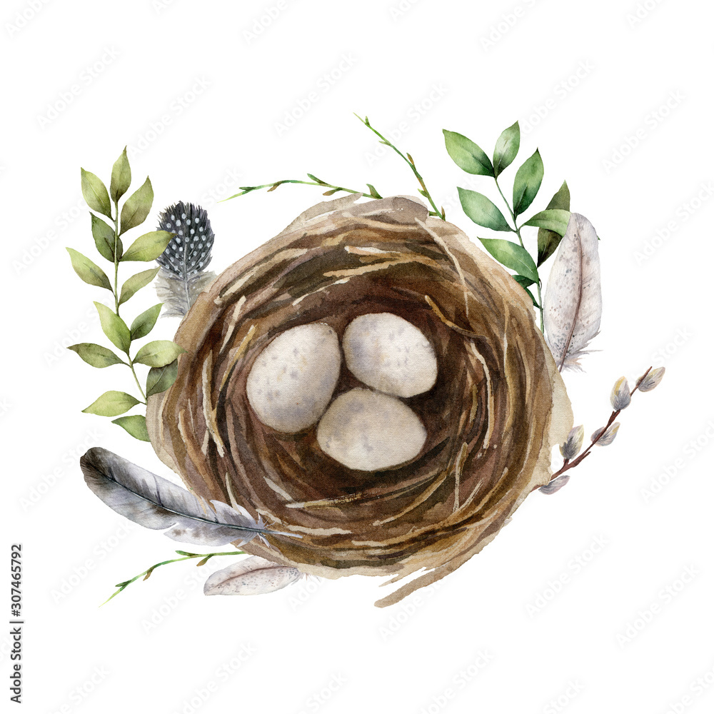 Watercolor easter card with birds nest and branch. Hand painted spring ...