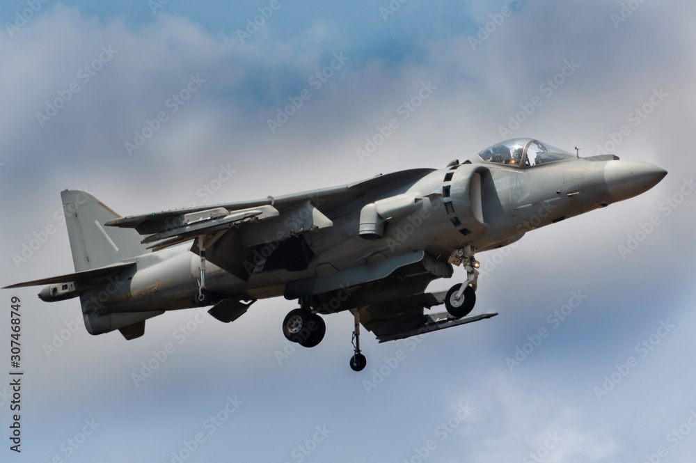 Harrier Hovering