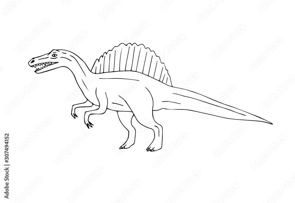 Spinosaurus Drawing