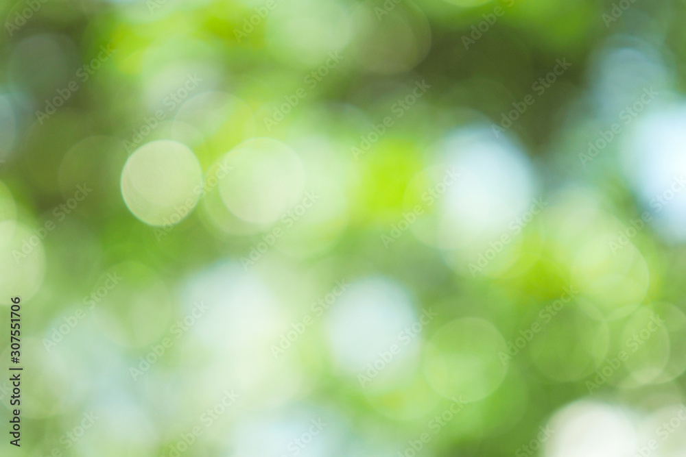 Abstract green bokeh out of focus background from tree in nature Stock ...