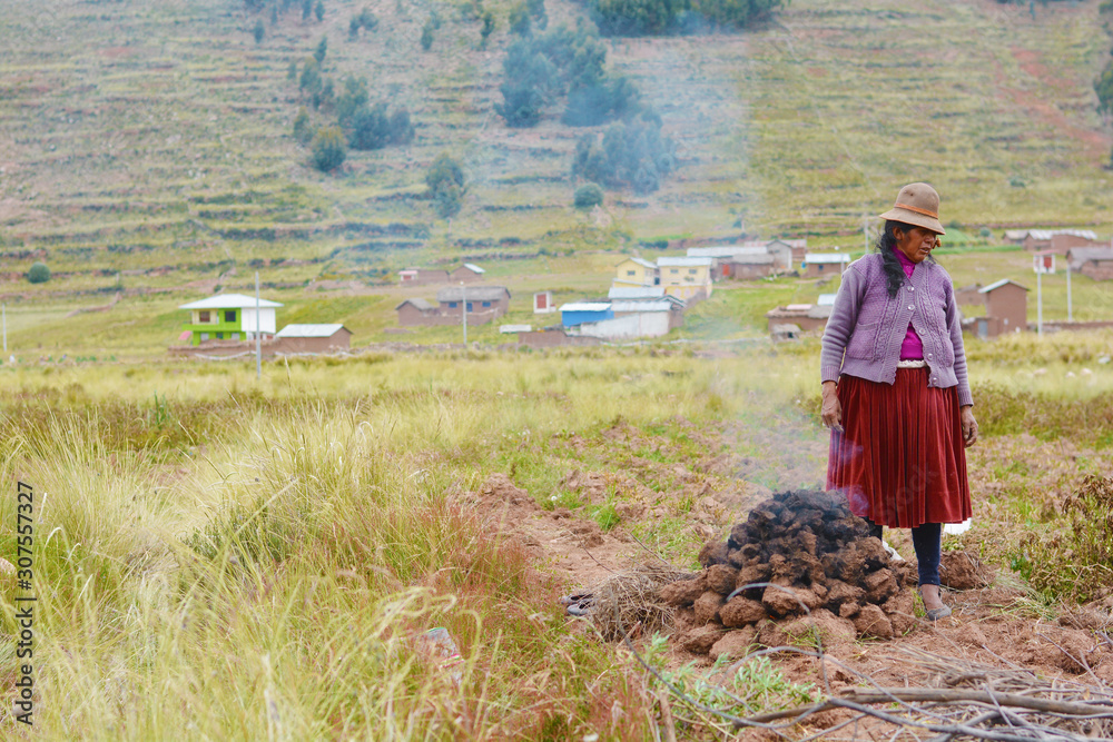 Native american woman cooking in the huatia - traditional eathern oven ...