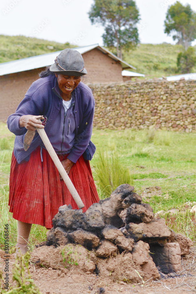 Native american woman cooking in the huatia - traditional eathern oven ...