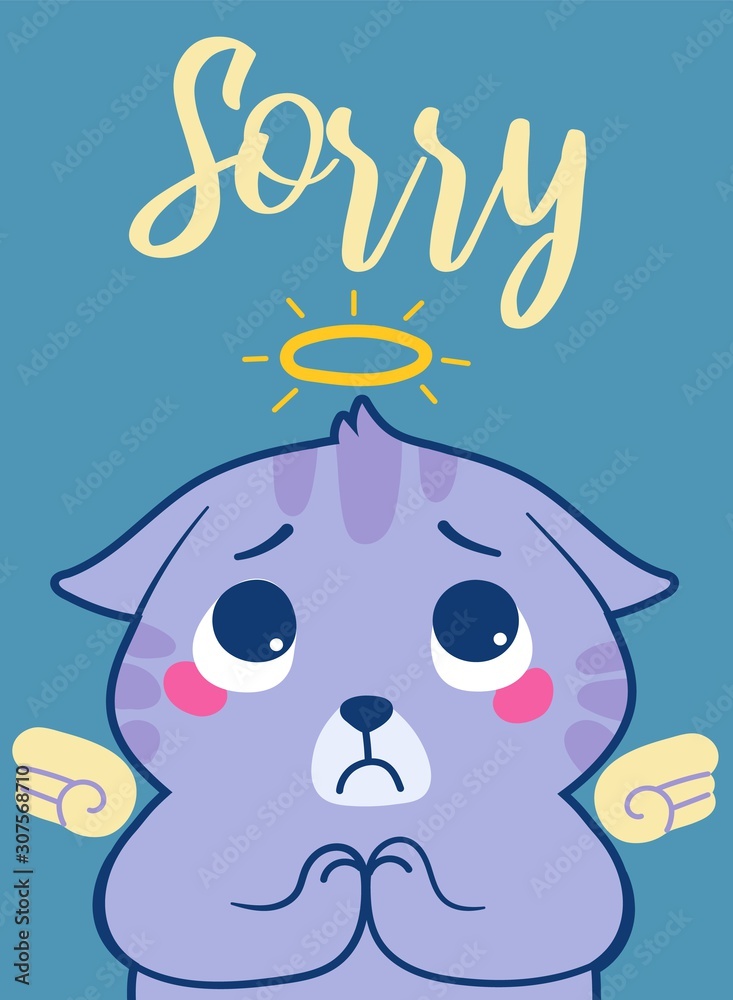Sad Cats Sorry