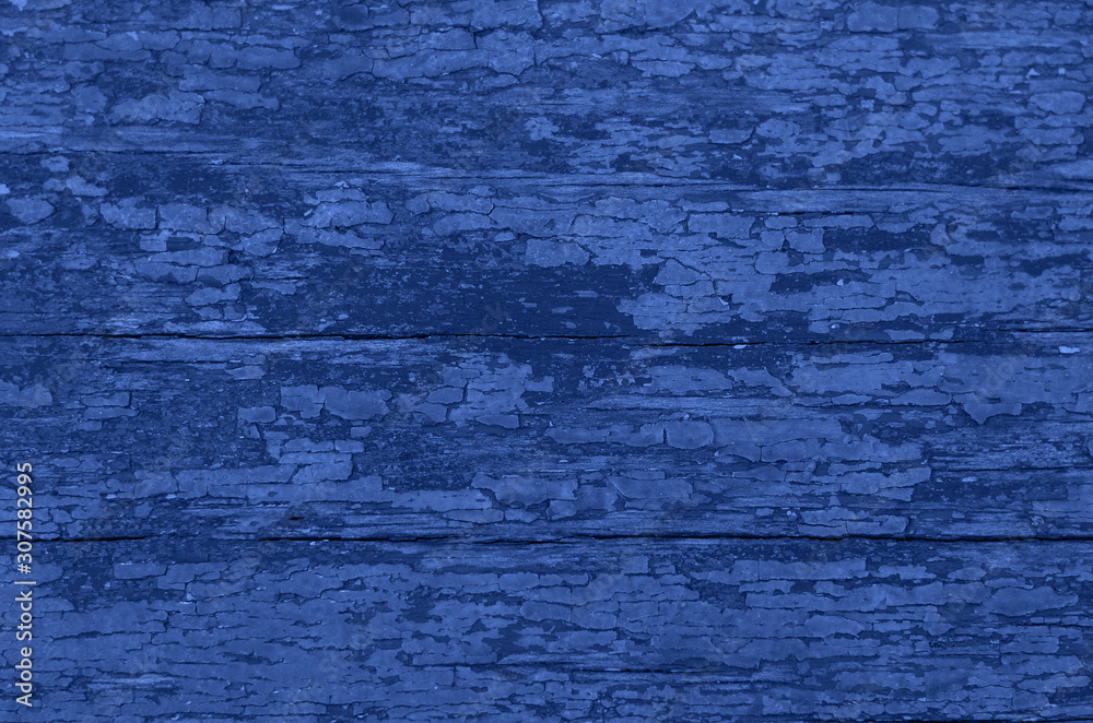 Wood texture, tinted blue. Rich blue color, the trend of 2020. Stock ...