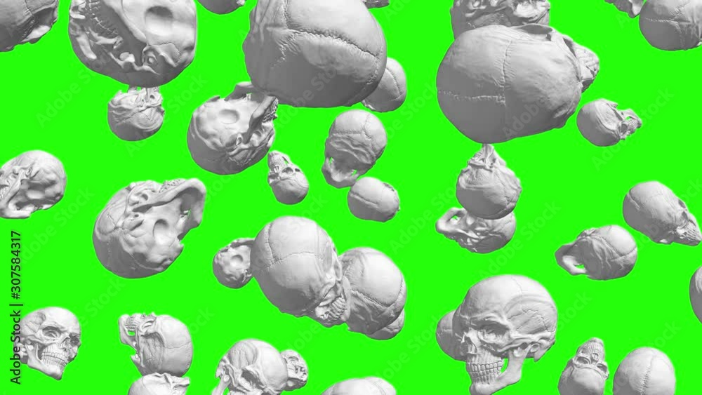 Vidéo Stock Rain of 3d Human skull cranium falling on green screen ...