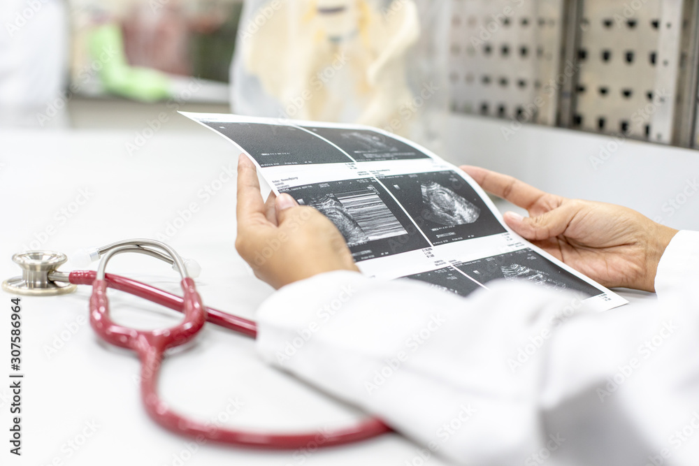 Study of the physiology of the Model and the parts of the human Model ...