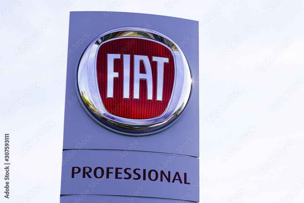Fiat Professional Logo