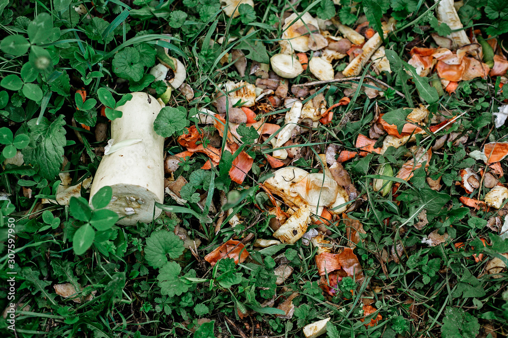 Food wastage in a garden. Throwing fresh food as environmental problem ...
