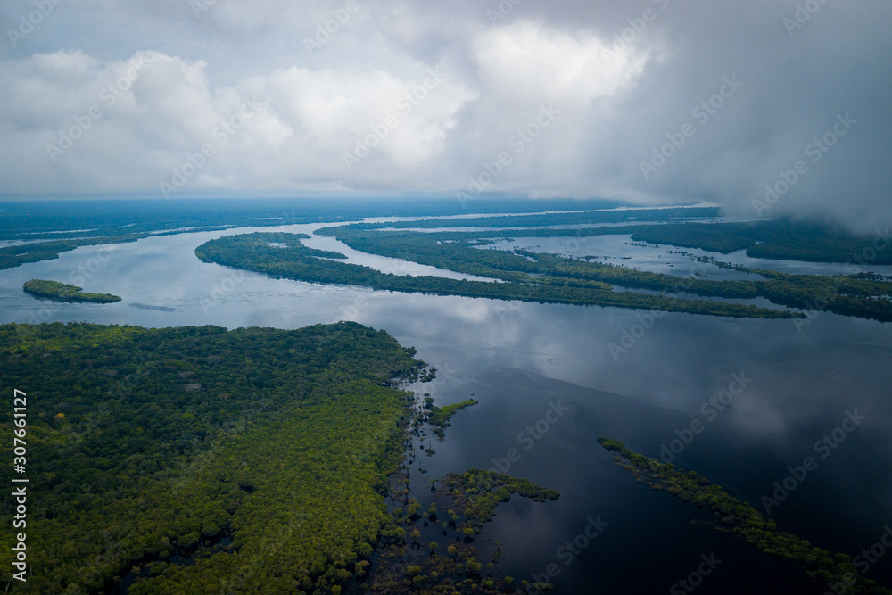 Foto de The mouth of the Jaú River is within the Jaú National Park and ...