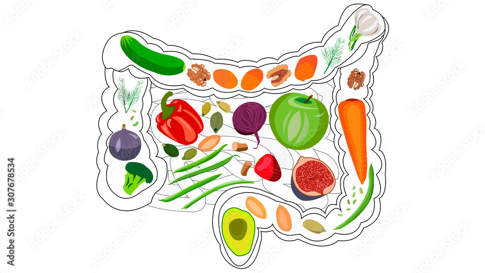 Healthy intestines, healthy food for digestion. Fiber, bran, fruits ...