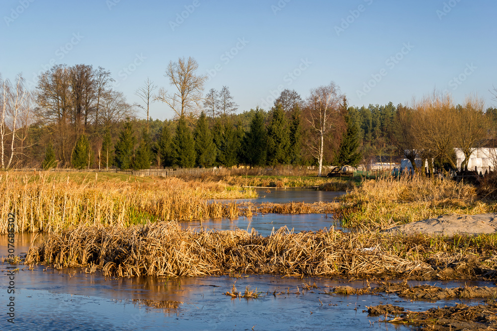 Rzeka Narew w okolicy Suraża, Narwiański Park Narodowy, Dolina Narwi ...