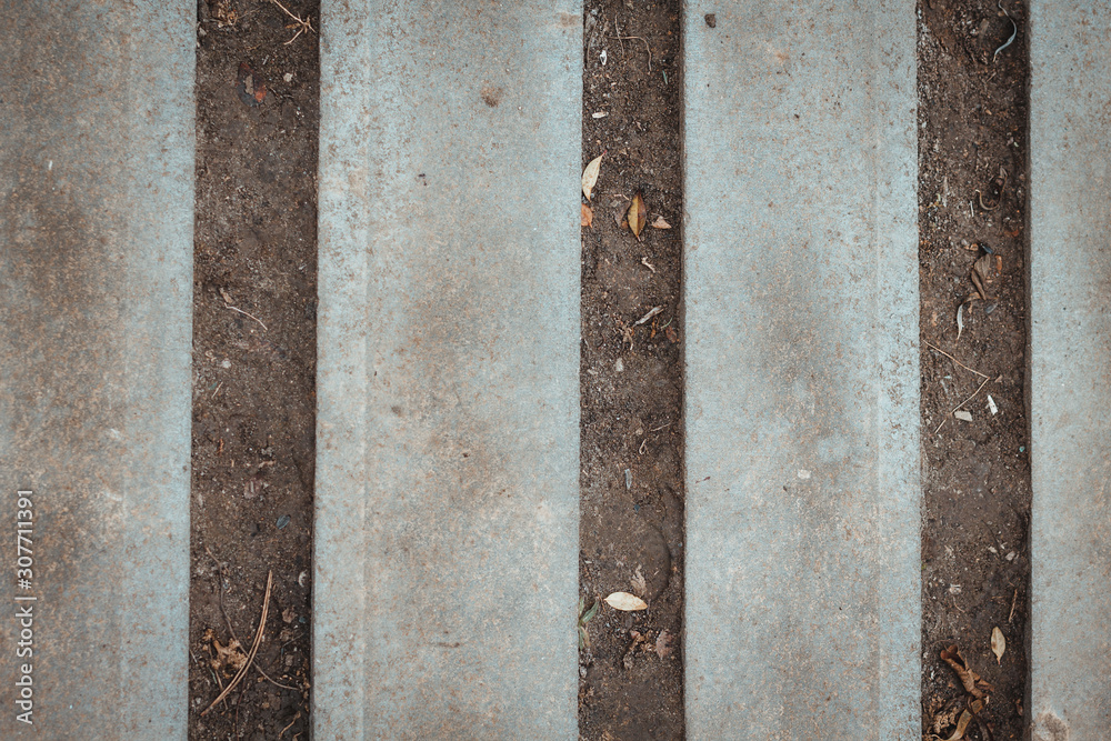 Parallel Lines In Nature