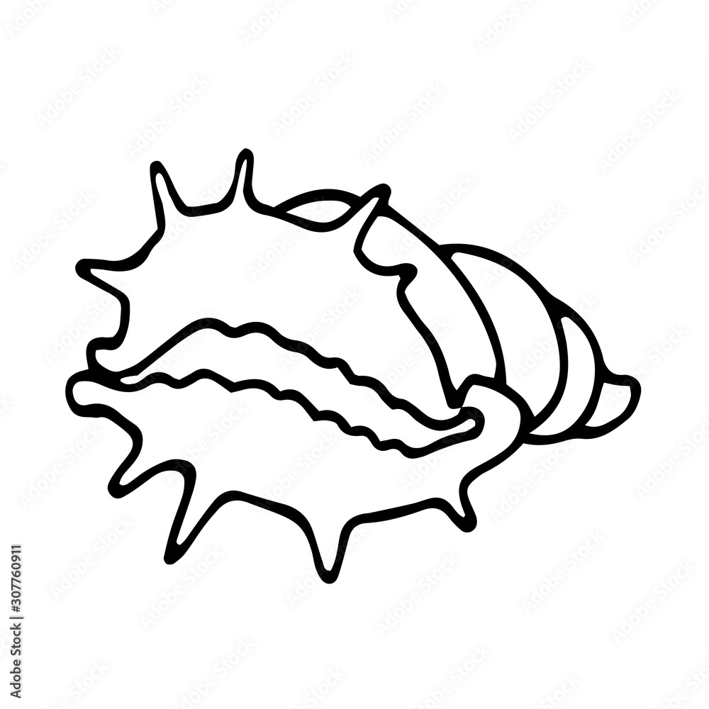 Hermit Crab Shell Template