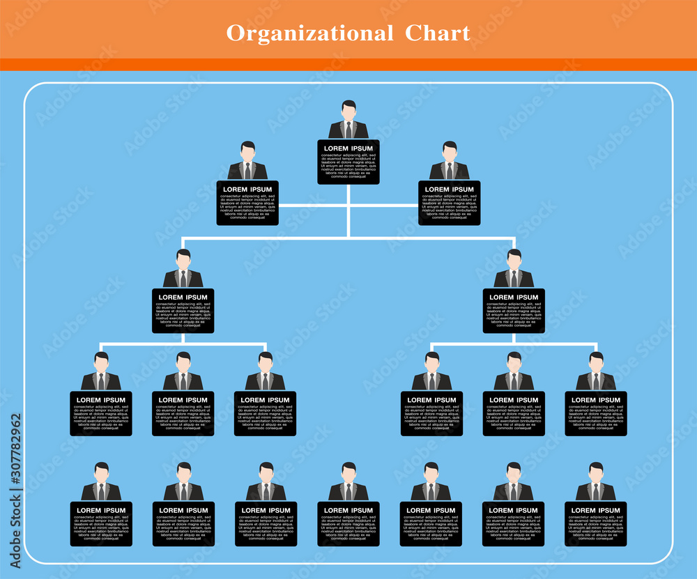 Organization Chart Info graphics, vector design Stock Vector | Adobe Stock