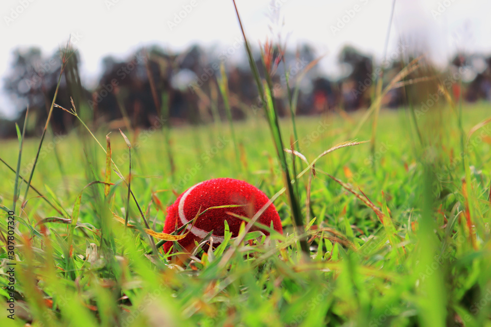 Red ball on grass in a cricket ground Stock Photo | Adobe Stock