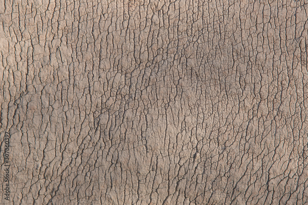 Skin Crack Texture