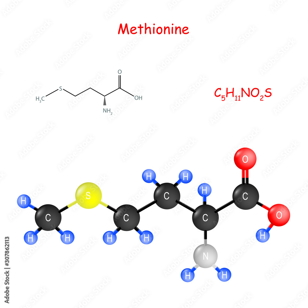 Methionine. Chemical structural formula and model of molecule. Stock ...