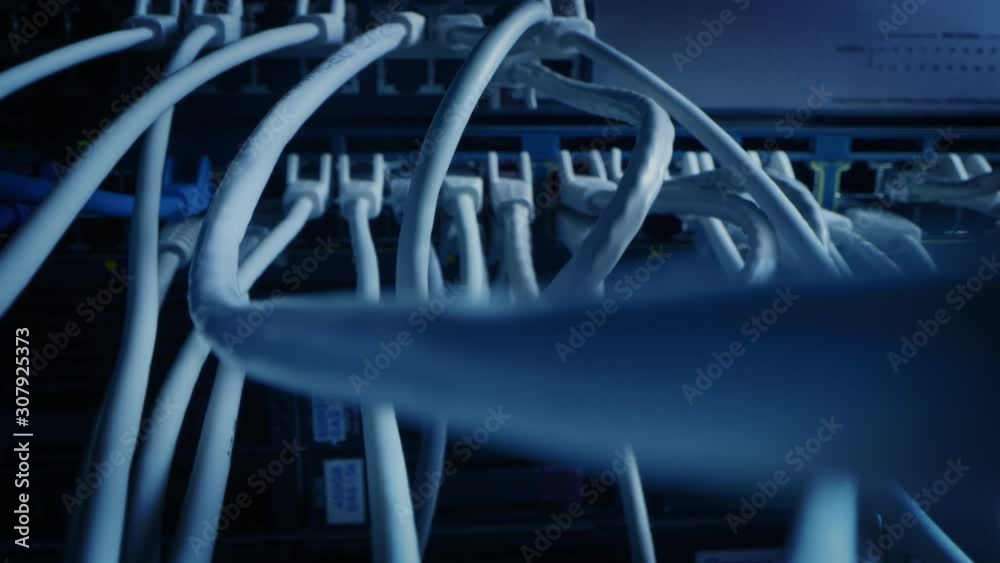 Close-up Macro Shot: Ethernet Cables Connected to Router Ports ...