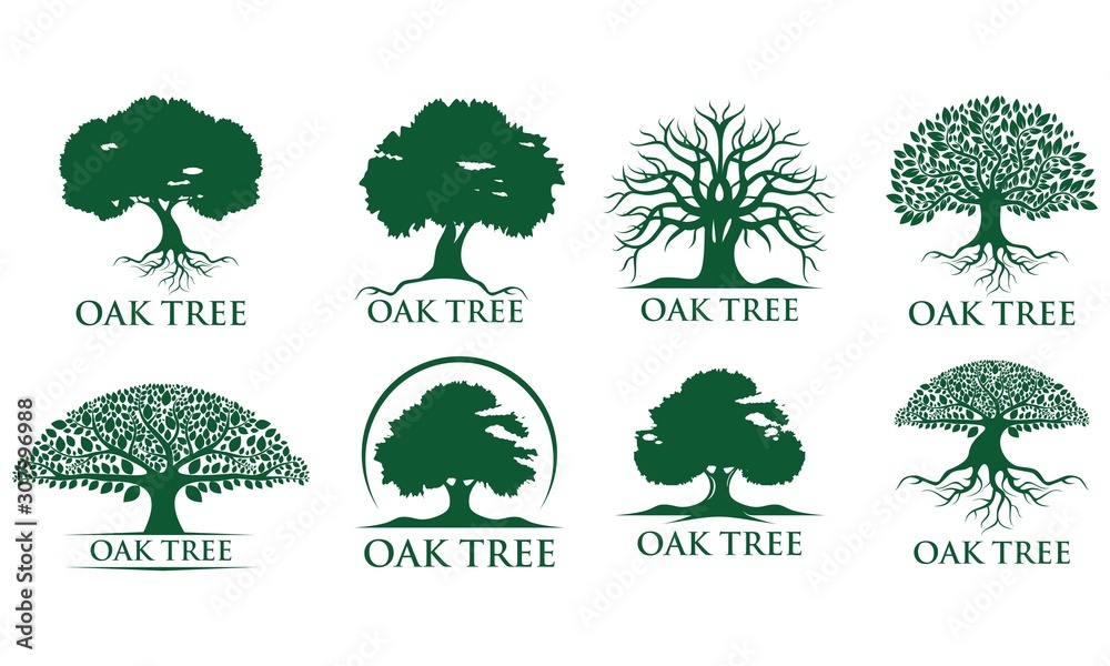 Oak Tree Symbols
