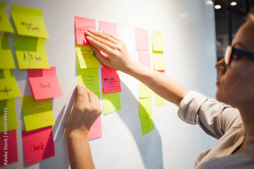 Poster project management, agile methodology – Wall Art | UkPosters