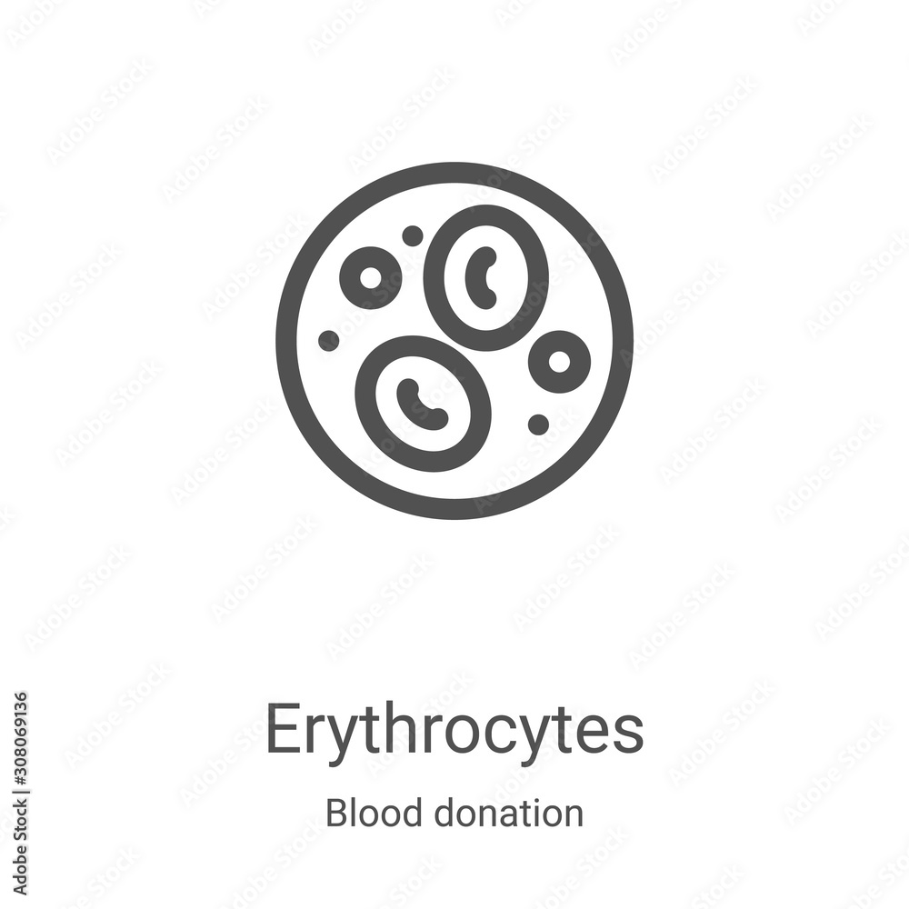 erythrocytes icon vector from blood donation collection. Thin line ...
