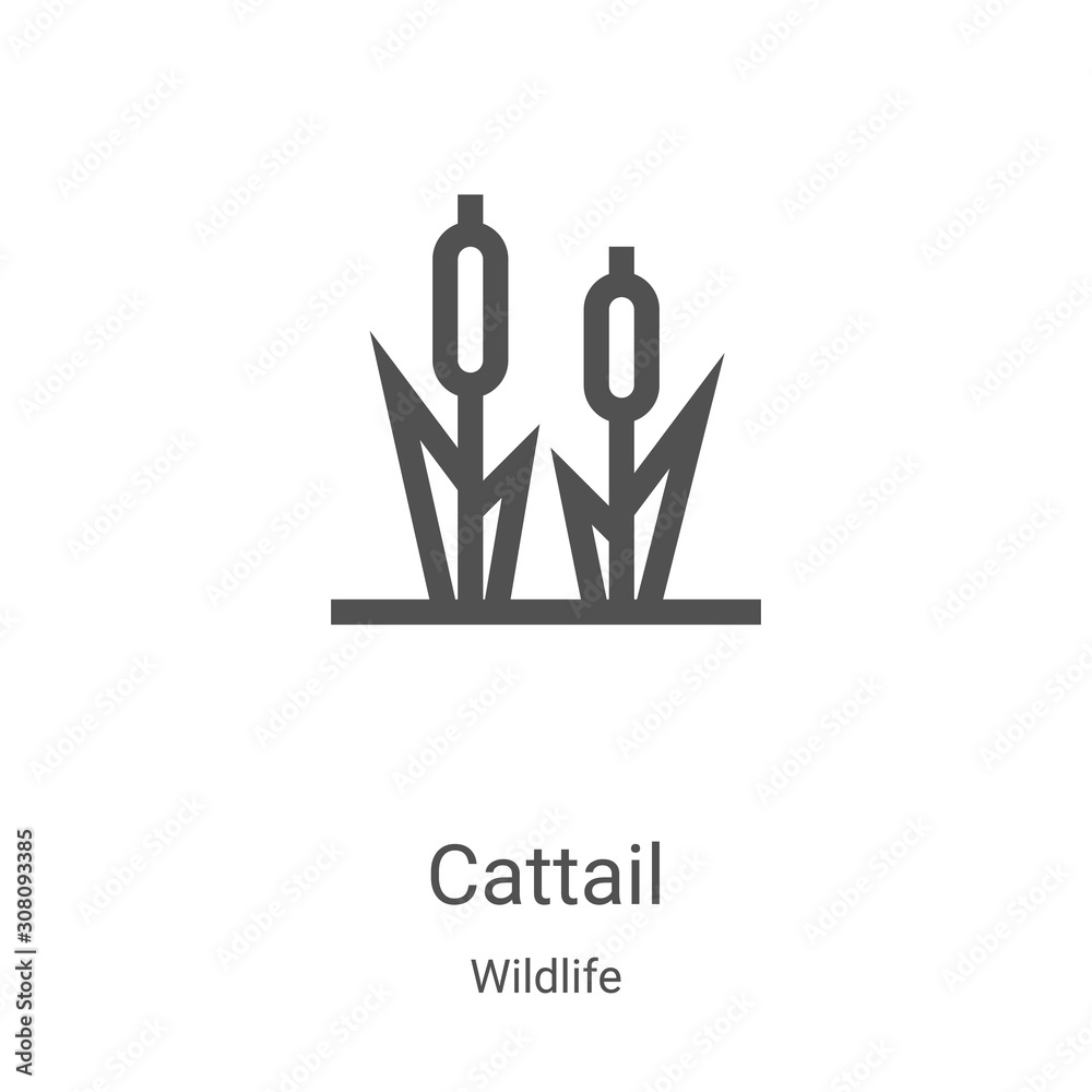 cattail icon vector from wildlife collection. Thin line cattail outline ...