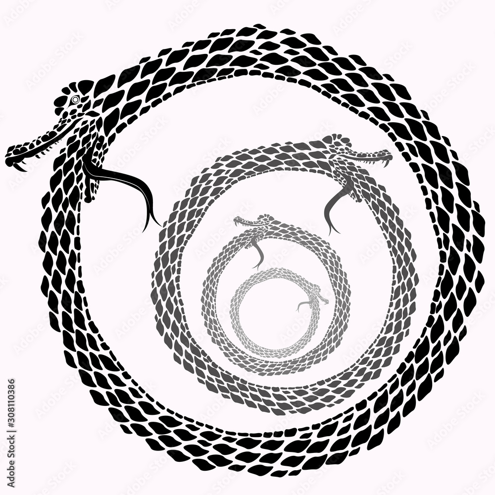 Ouroboros endless loop. The snake eats its tail endlessly. Stock Vector ...