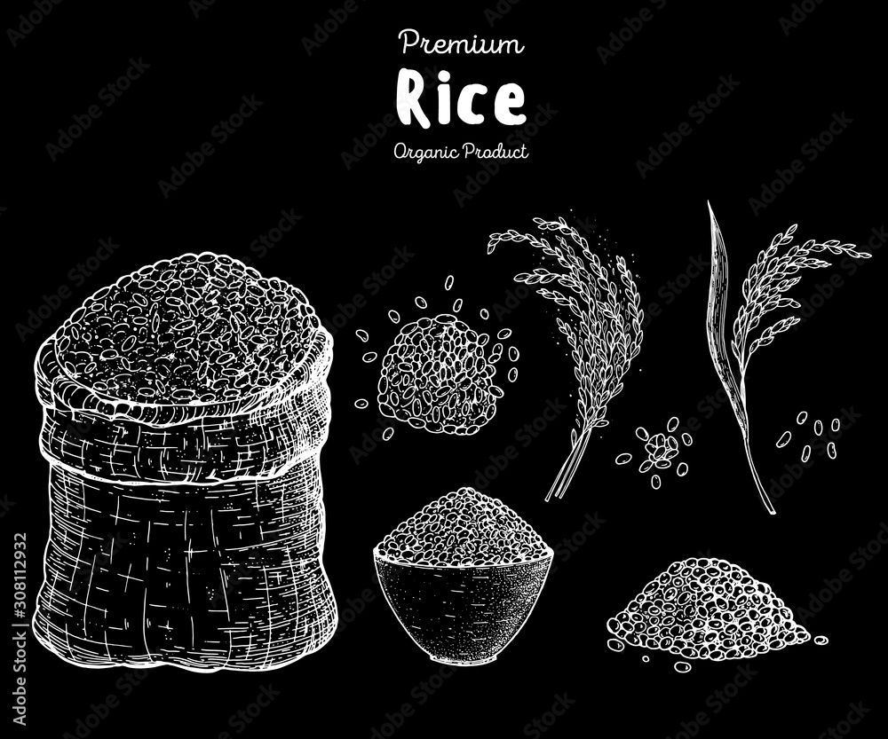 Rice hand drawn vector illustration. Bag of rice sketch. Packaging ...